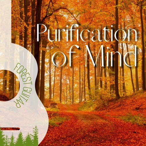 Stream Forest Guitar | Listen to Purification of Mind - Guitar Music ...