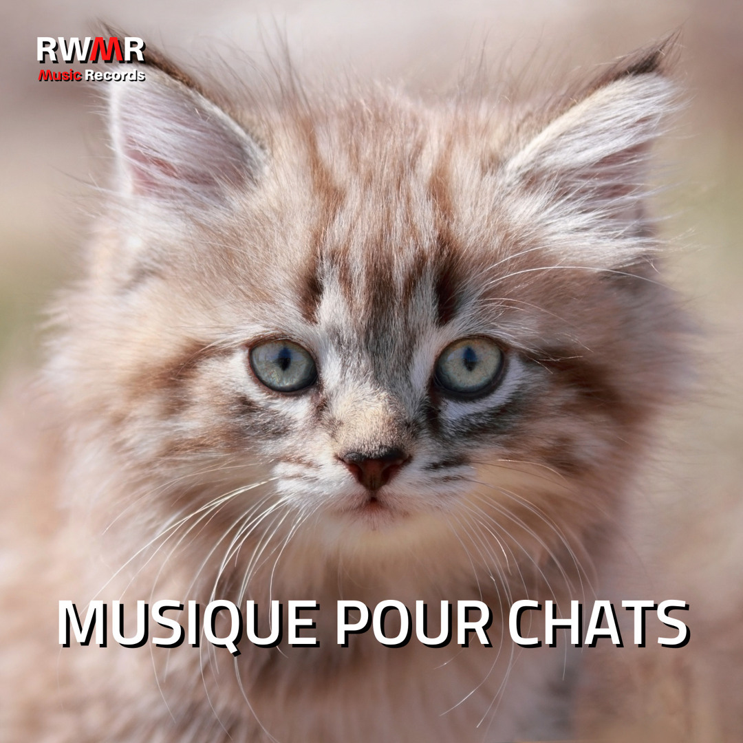 Stream RW Musique pour les oreilles des chats | Listen to Musique pour ...