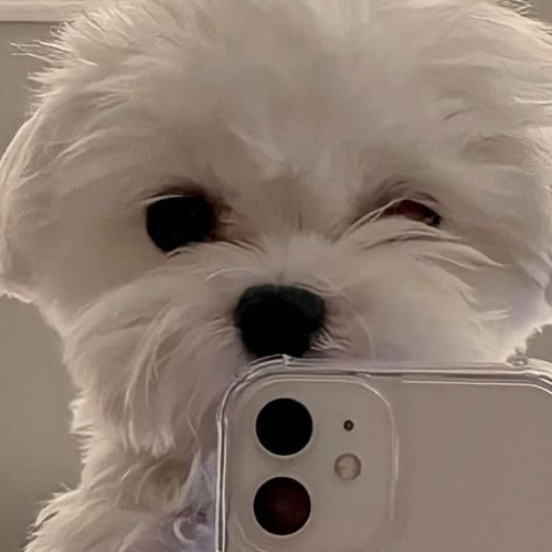 Stream 끈말릳끼 (쉼터) by JJG | Listen online for free on SoundCloud