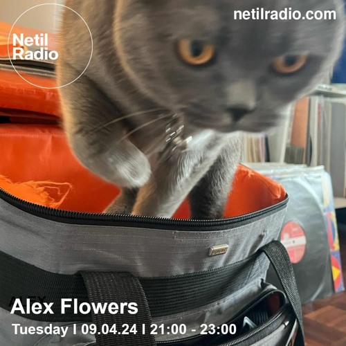 Stream Crispian invites Alex Flowers - 9th April 2024 by Netil Radio ...