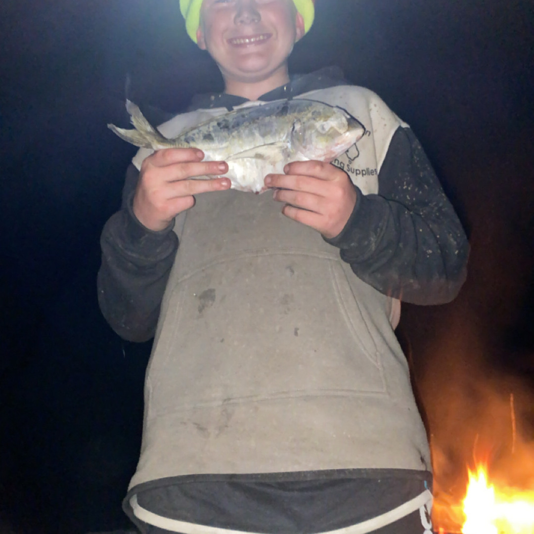 Stream Isaac Spring | Listen to Springa playlist online for free on ...