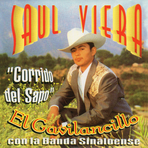 Stream Saul Viera El Gravilancillo | Listen to Corrido Del Sapo ...