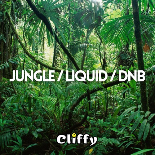 Stream Cliffy_Official | Listen to Jungle / Liquid / DnB Sets playlist ...