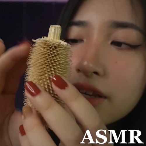 Stream Clareee ASMR | Listen to Rare, Unusual Triggers for Sleep ...