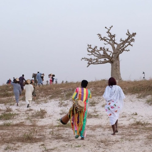 Stream Lights Out: Speaking Sabar 4/6 by Falling Tree Productions ...