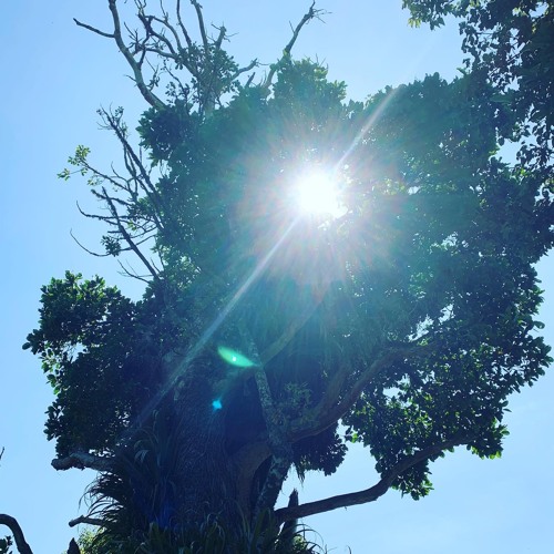 Stream Distant Heap Of One by Kent Macpherson | Listen online for free ...