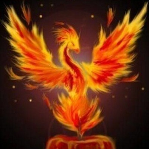 Stream 01 Stingray Jam by Tim Sprout | Listen online for free on SoundCloud