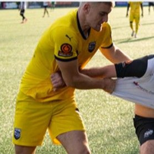 Stream Wardle (You Absolute Shithouse) by Nick Fitz 1 | Listen online ...