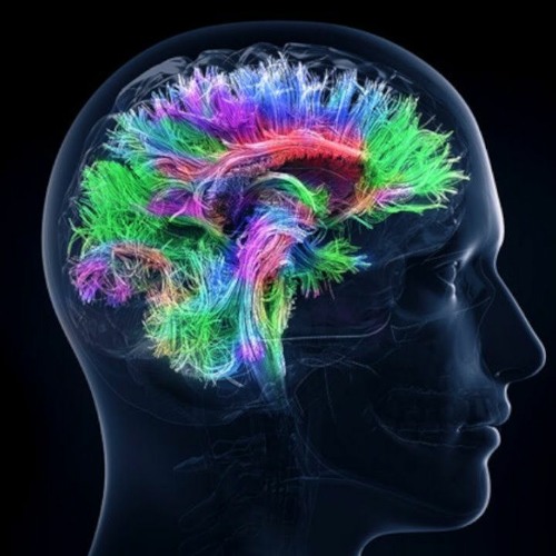 Stream Study Music Alpha Waves: Relaxing Studying Music, Brain Power ... Stream Study Music Alpha Waves: Relaxing Studying Music, Brain Power ...