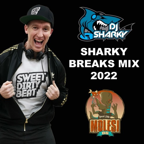 Stream Sharky - Breaks mix 2022 by Mike Sharky Somervell | Listen ...