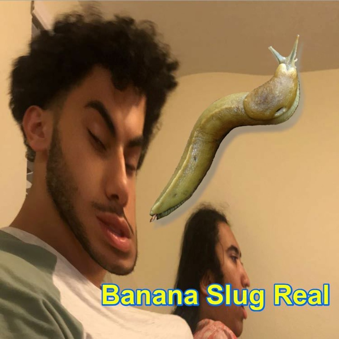 Stream Healthy Tribe | Listen to Banana Slug Real playlist online for ...