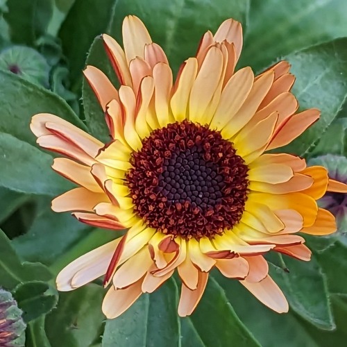 Stream episode Adhika Masa - 33 Namasmarane by TADIPATRI GURUKULA ...