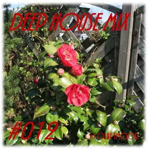 Stream Deep House Mix #012 by Olaf TMoor by Olaf TMoor | Listen online ... Stream Deep House Mix #012 by Olaf TMoor by Olaf TMoor | Listen online ...