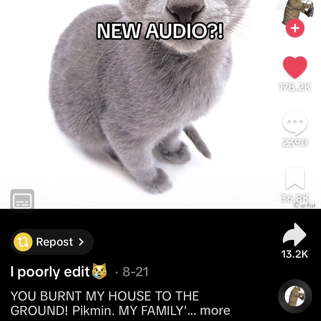 Stream YOU BURNT MY HOUSE TO THE GROUND TikTok audio by BAG _Plays ...