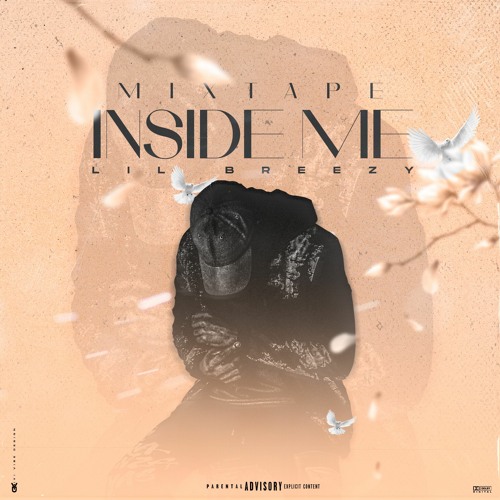 Stream Miúdos e Graúdos pt. I by Lil Breezy Official | Listen online ...