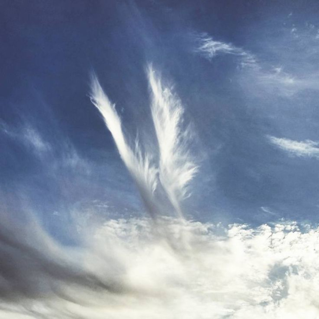 Stream End of August by xio | Listen online for free on SoundCloud