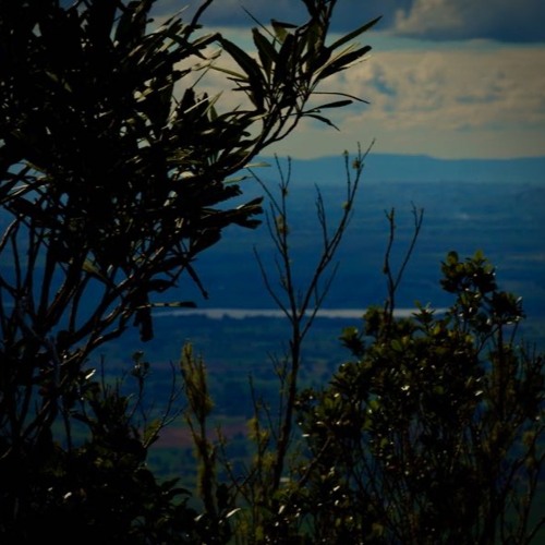 Stream Wind And Heavy Squally Rain - Pirongia Late Morning Feb 24.WAV ...