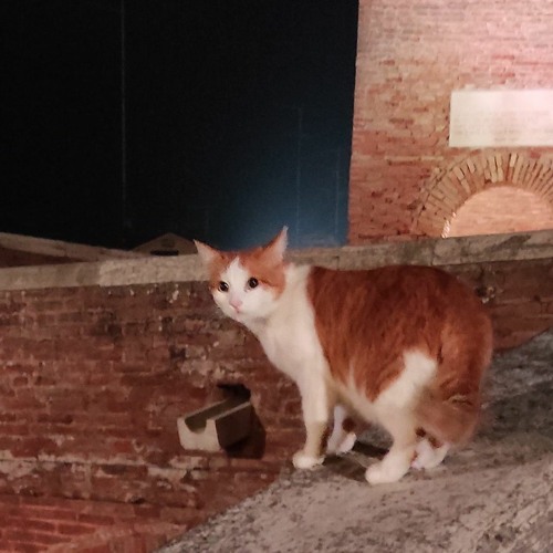 Stream Output by Lori Q | Listen online for free on SoundCloud