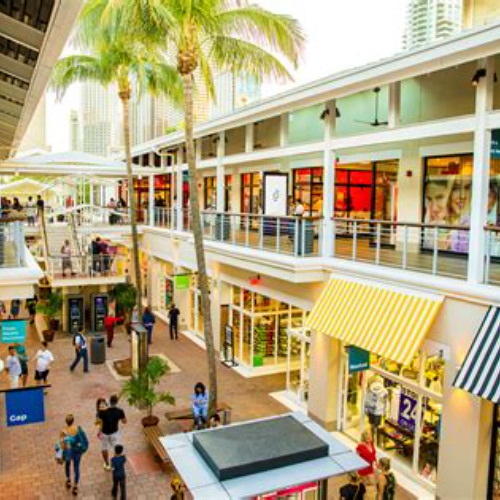 Stream Review Special Price Sawgrass Mills Mall Round-Trip Transport ...