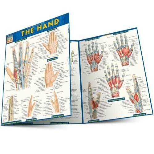 Stream PDF_ The Hand (Quick Study Academic) from Cayleejennings ...