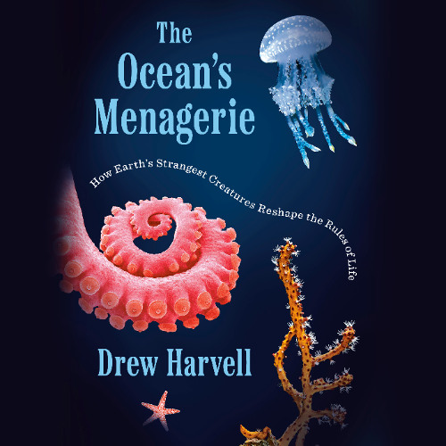 Stream Listen to an excerpt from "The Ocean's Menagerie" by Drew ...
