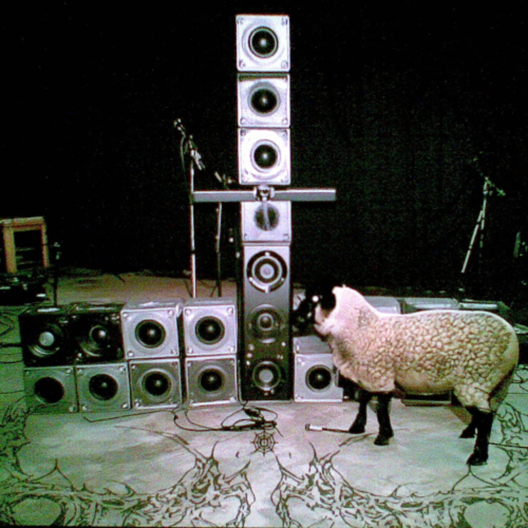 Stream ILYA GADAEV, RLGN, ANY ACT - SHEEPSTEP [STVOL023] by СТВОЛ ...