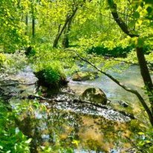 Stream H2O - Return To Nature by Mr Sweaty + H2O | Listen online for ...