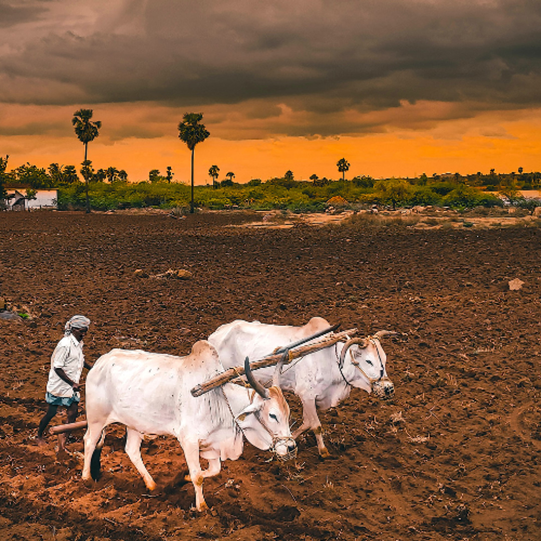 Stream Meek Is Not Weak (Rebroadcast) by Blessed Meditations | Listen ...