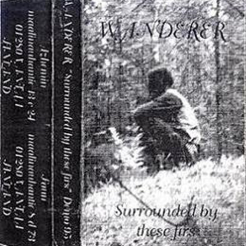 Stream Wanderer - Cold Steps Lead... by juri | Listen online for free ...