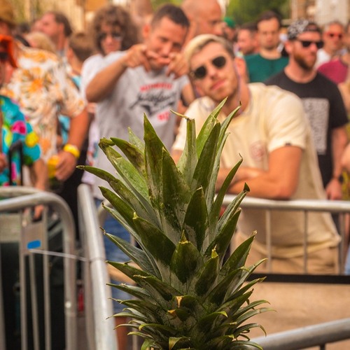 Stream TRIPLE ACID CITY - DREADY GLENN - PINEAPLE TRIBE SOUND SYSTEM by pineappletribe | Listen ...