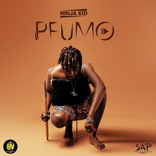 Stream SekeMutema263 | Listen to PFUMO ALBUM NINJA KID playlist online for free on SoundCloud