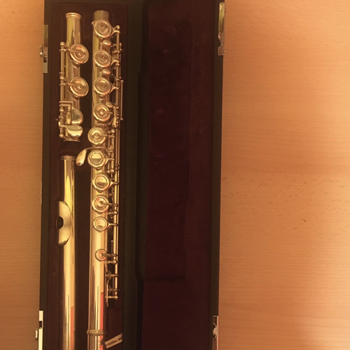 Stream Peppa Pig 80 bpm by Vesna Balta | Listen online for free on ...