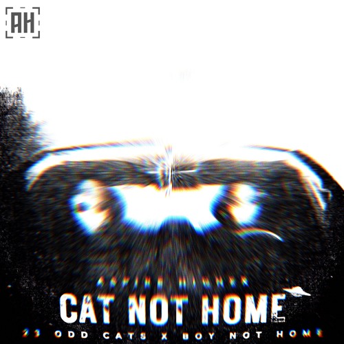 Stream BoyNotHome | Listen to Cat Not Home - Aspire Higher playlist ...