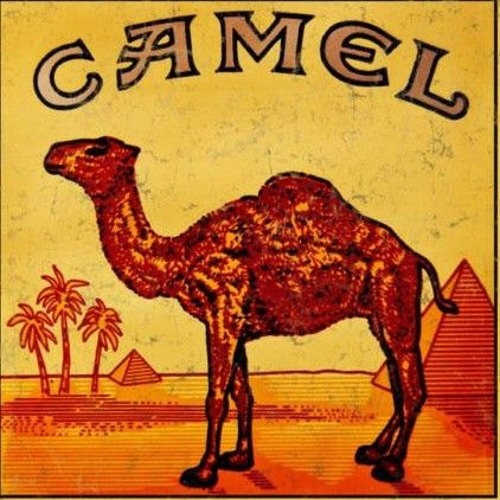 Stream Lou Dirty - Camel (Maqueta en caleta de @mc_kenai) by Lou Dirty ...