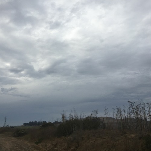 Stream Underground Neon by Church Squirrel | Listen online for free on ...