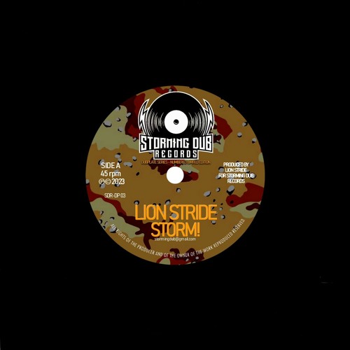 Stream Sample Lion Stride STORM! + Dub by Storming Dub Records | Listen ...