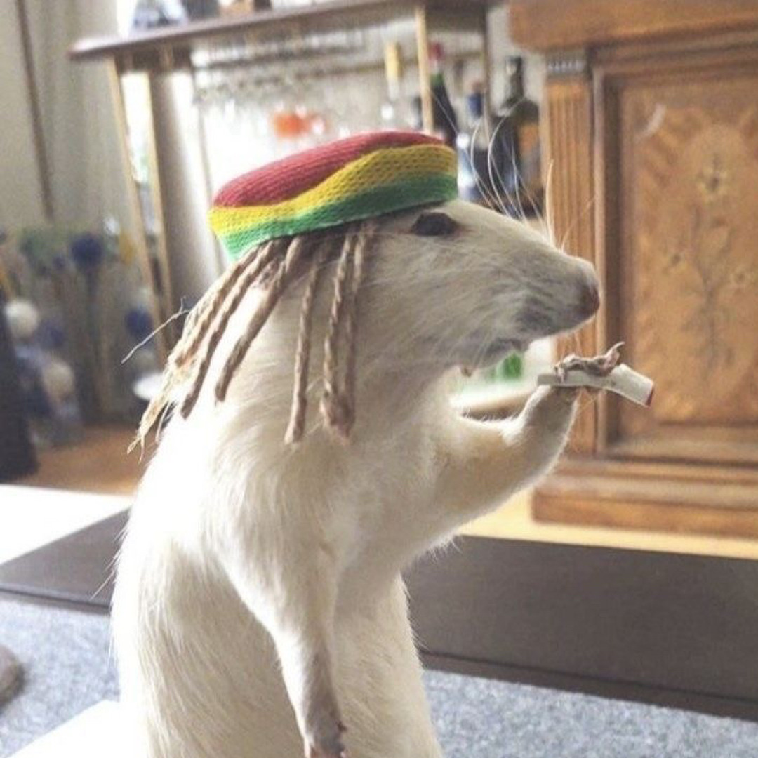 Stream MINI MIX #1 by Jack Lovett | Listen online for free on SoundCloud