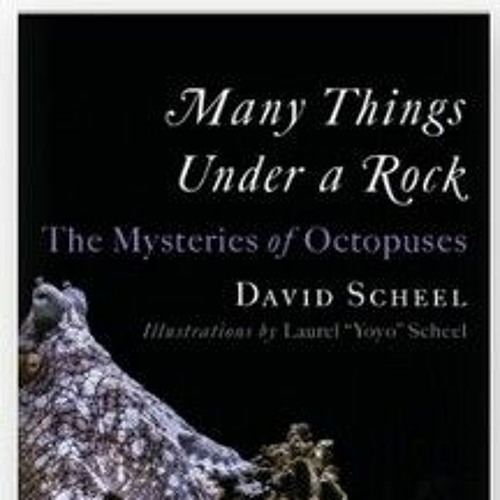 Stream episode Techstination Interview- Many Things Under a Rock: The ...