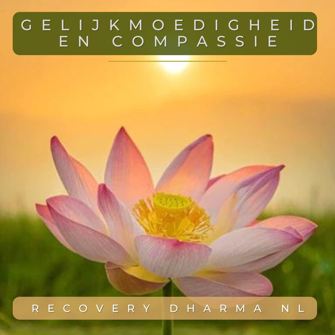 Stream Gelijkmoedigheid En Compassie Meditatie by Recovery Dharma ...