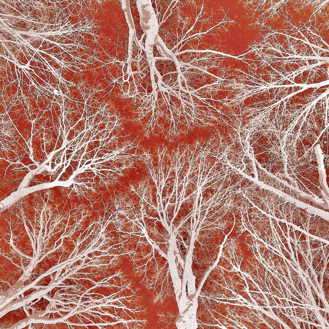 Stream rexv2 - backbone (prod teo) by teo | Listen online for free on ...