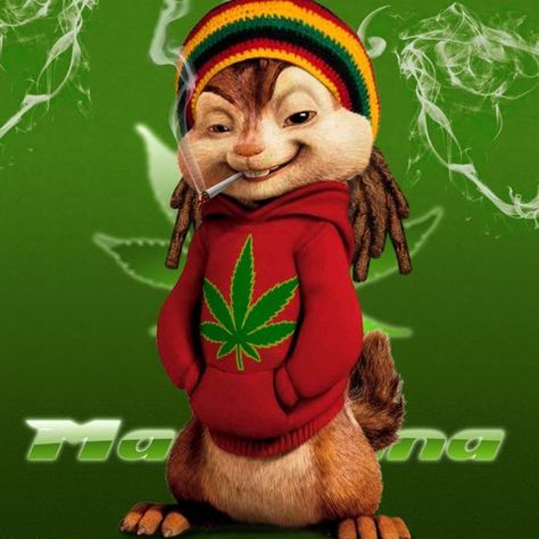 Stream IM AN ISLAND BOY (CHIPMUNK REMIX) by MOUSE GUAPO | Listen online ...