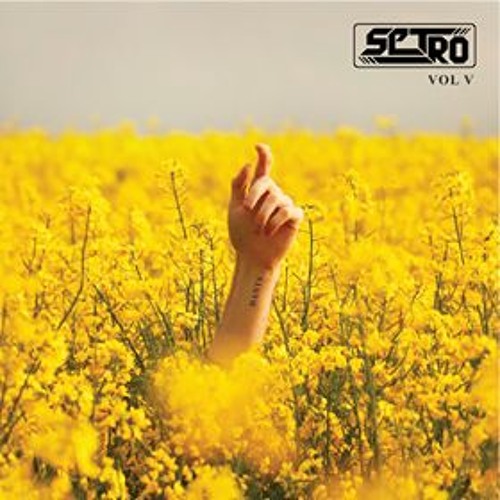 Stream Setro - DANTS Vol. 5 (Live Mix) by Dj Setro Blog | Listen online ...