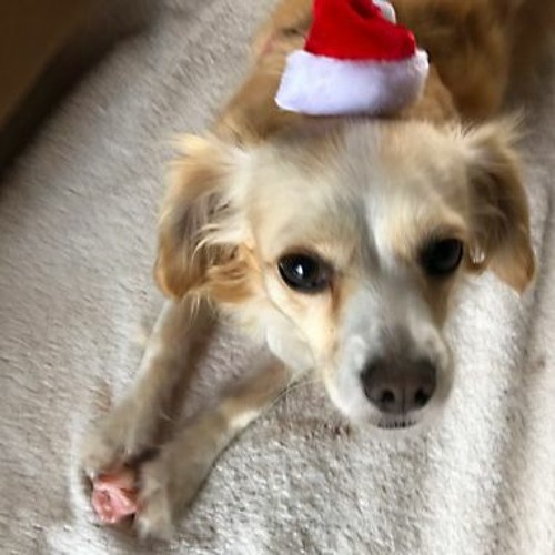 Stream Thea Song Part Of Healing by Leiah Bowden | Listen online for ...