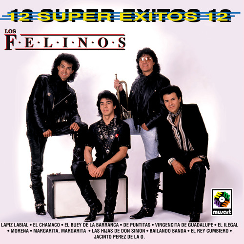 Stream Los Felinos | Listen to 12 Súper Éxitos, Vol. 2 playlist online ...