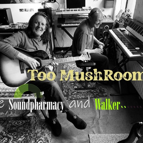 Stream Too MushRoom (collab with Powlo.. The sound pharmacy) by Walker ...