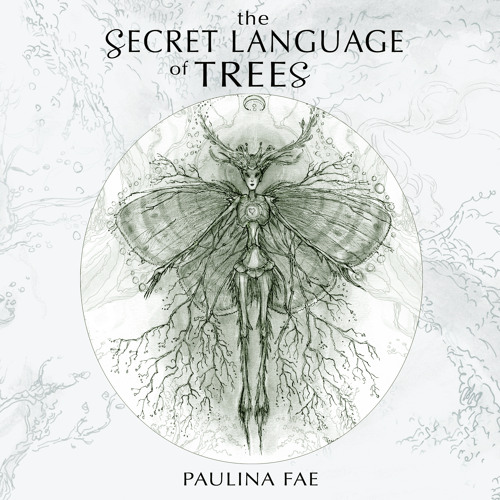 Stream Paulina Fae | Listen to The Secret Language of Trees playlist ...