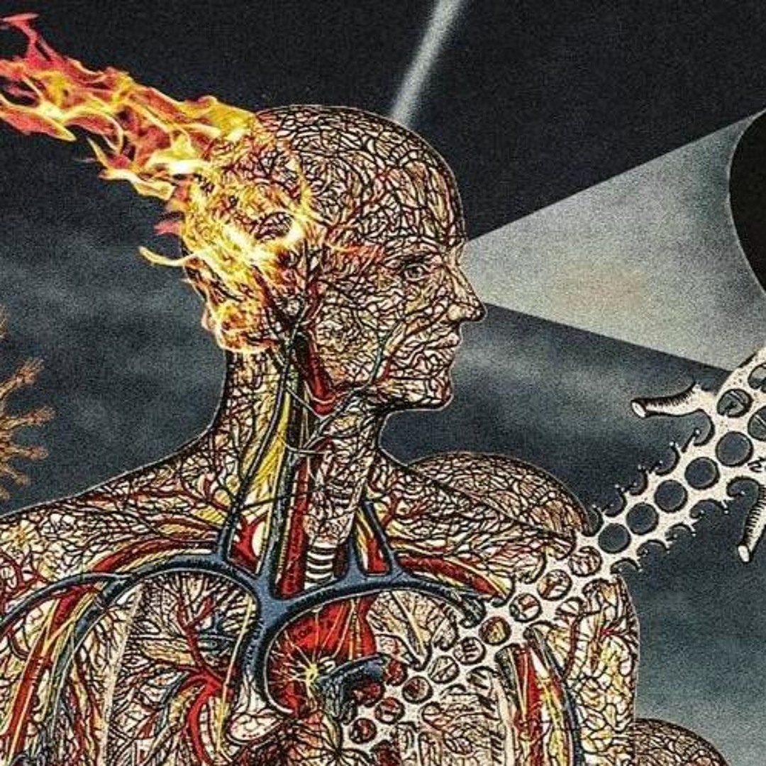 Stream Body Horror by automatik | Listen online for free on SoundCloud