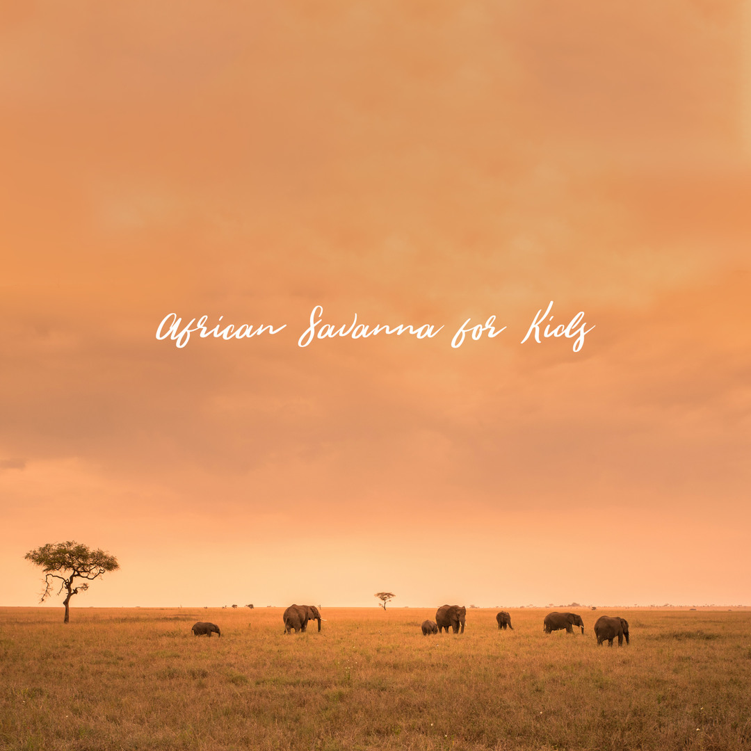 Stream Calm Music Zone | Listen to African Savanna for Kids - Children ...
