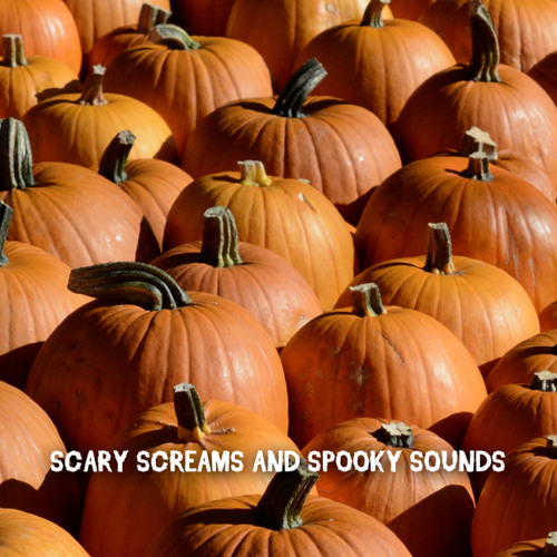 Stream Scary Halloween Music | Listen to Scary Screams And Spooky ...