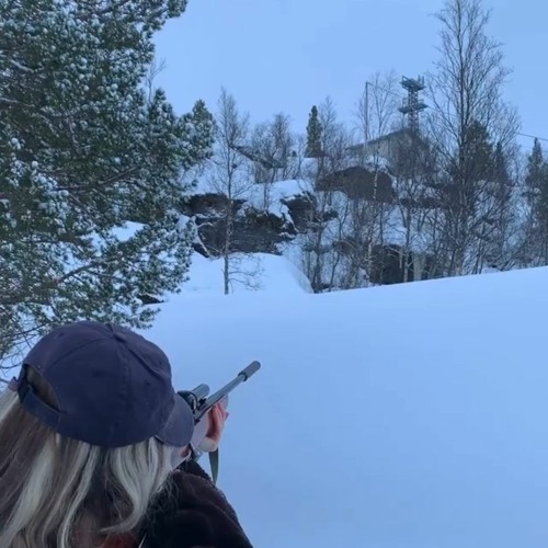 Stream Elusin - Silhouette by ‎Elusin Archive | Listen online for free ...